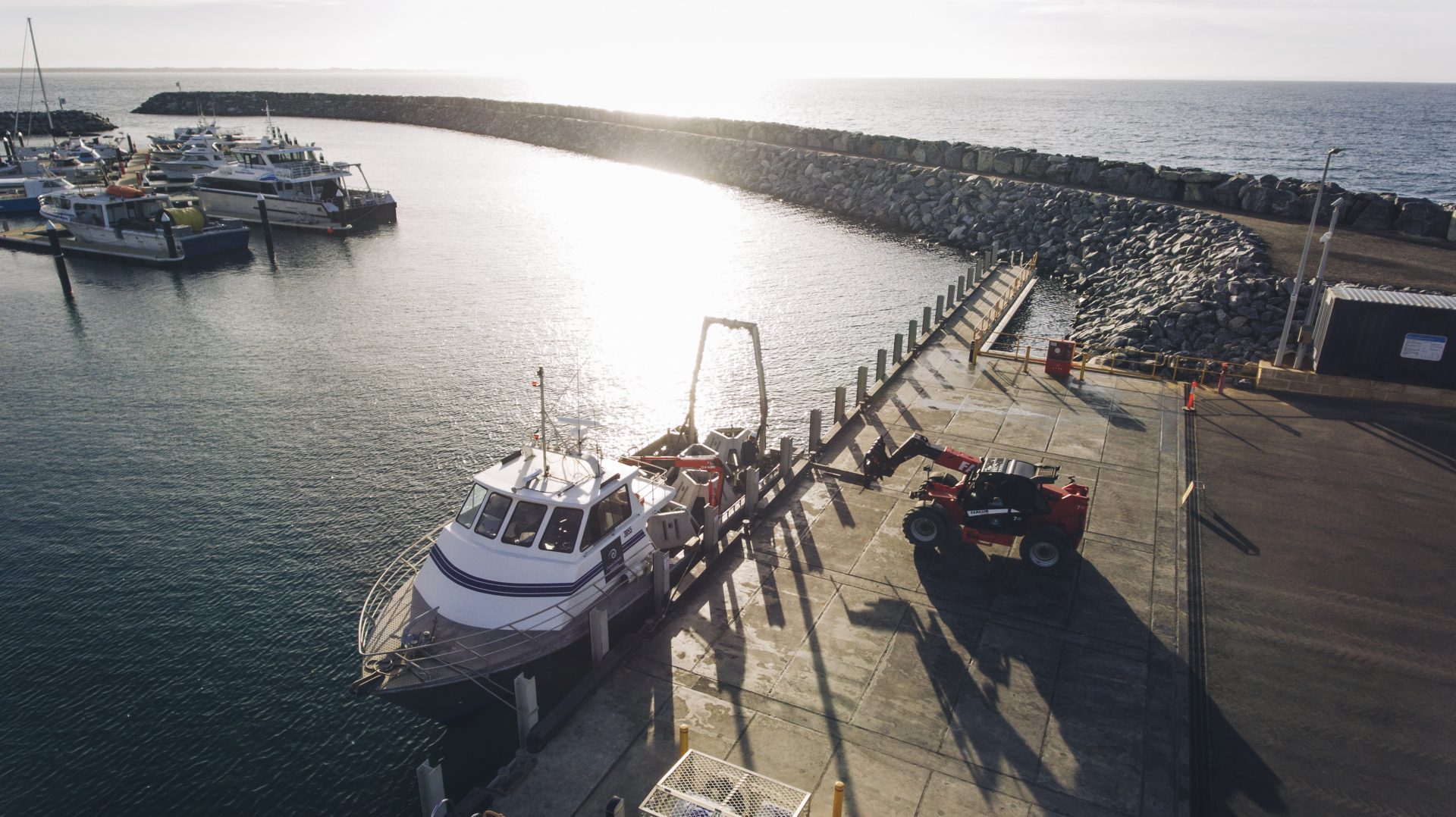 Harvest Cut at Abalone Ranch as Demand Eases - Rare Foods Australia