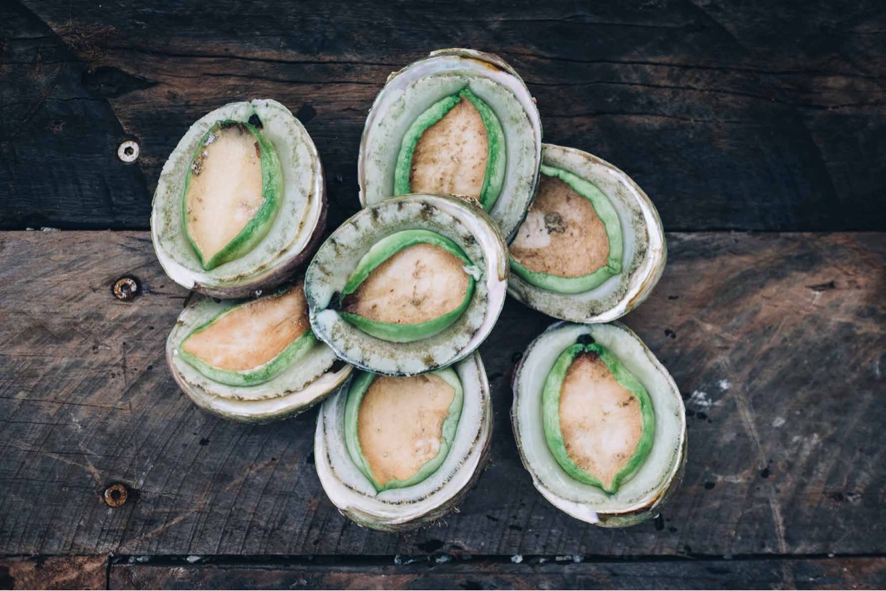 AFR Ocean Grown Abalone Heads To ASX On Clean And Green China Demand 