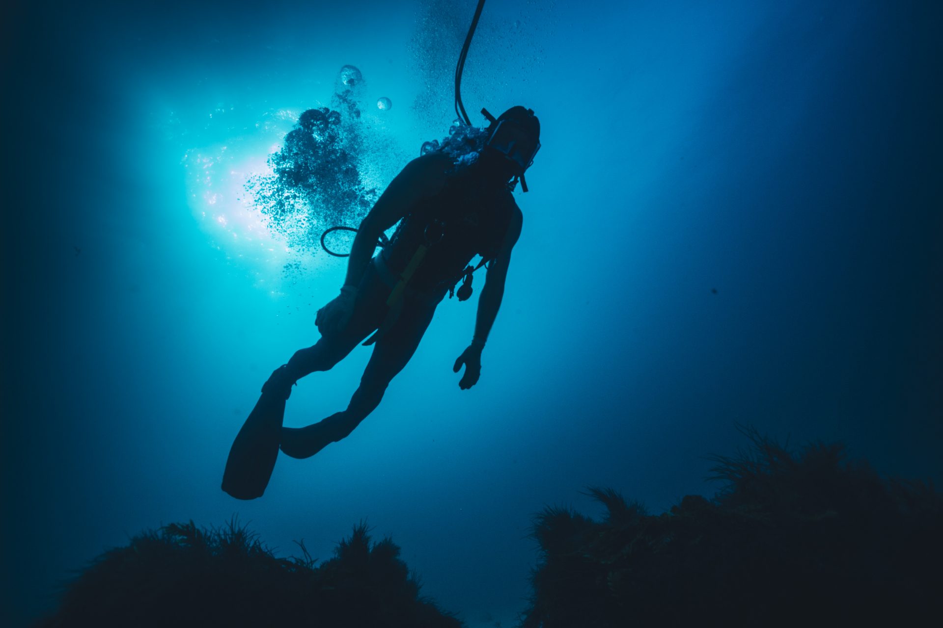 A World First - Ocean Ranching - Rare Foods Australia