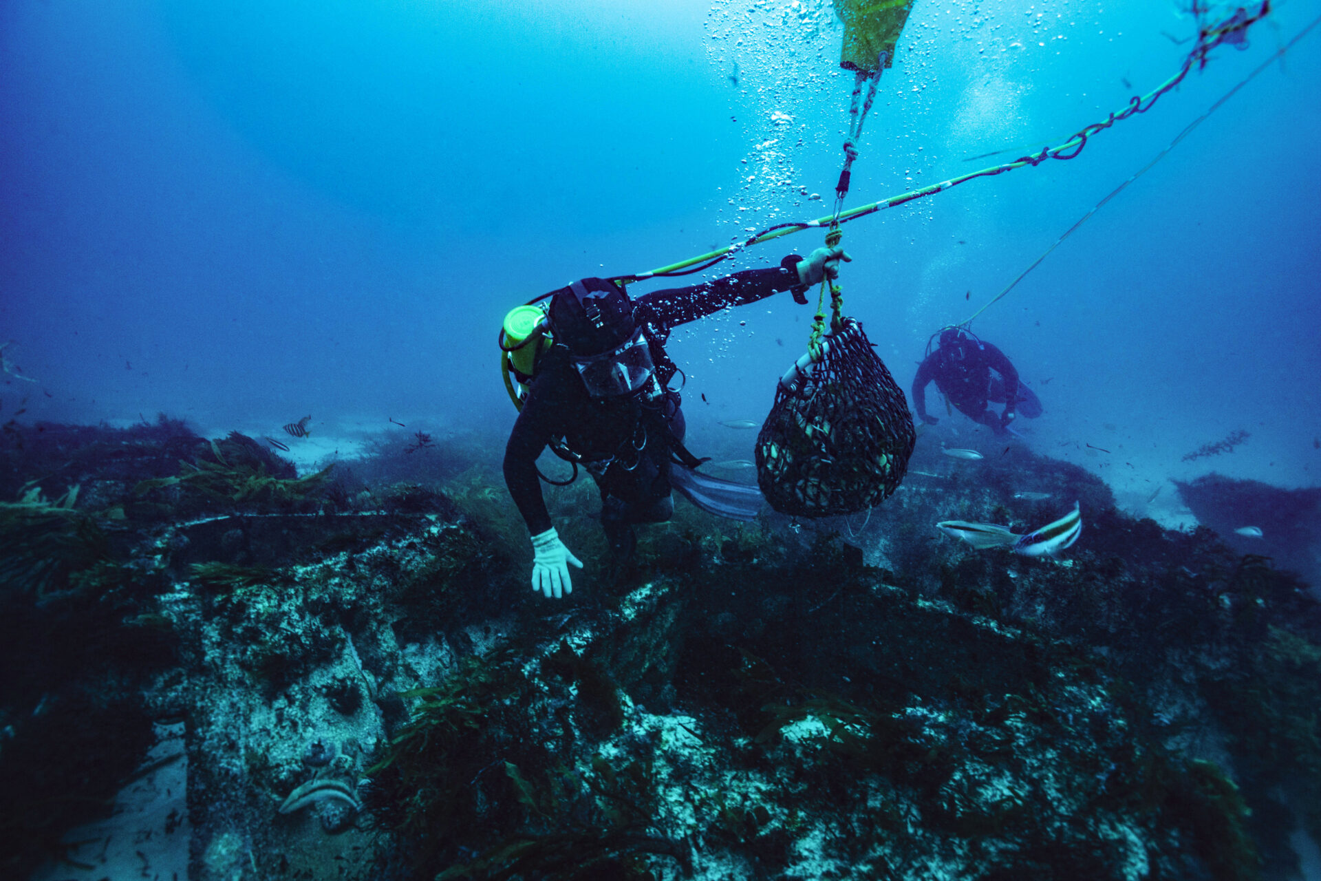 Quarterly Forum Video Released - Rare Foods Australia