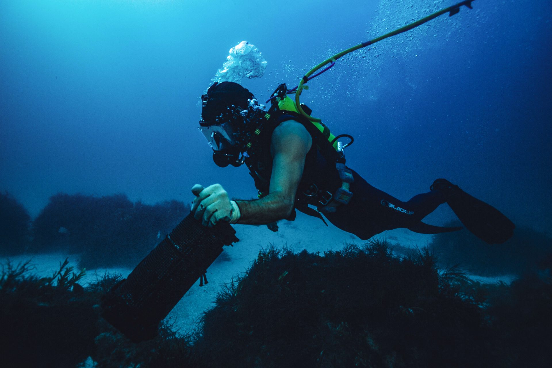 Deploying our Juvenile Abalone - Rare Foods Australia