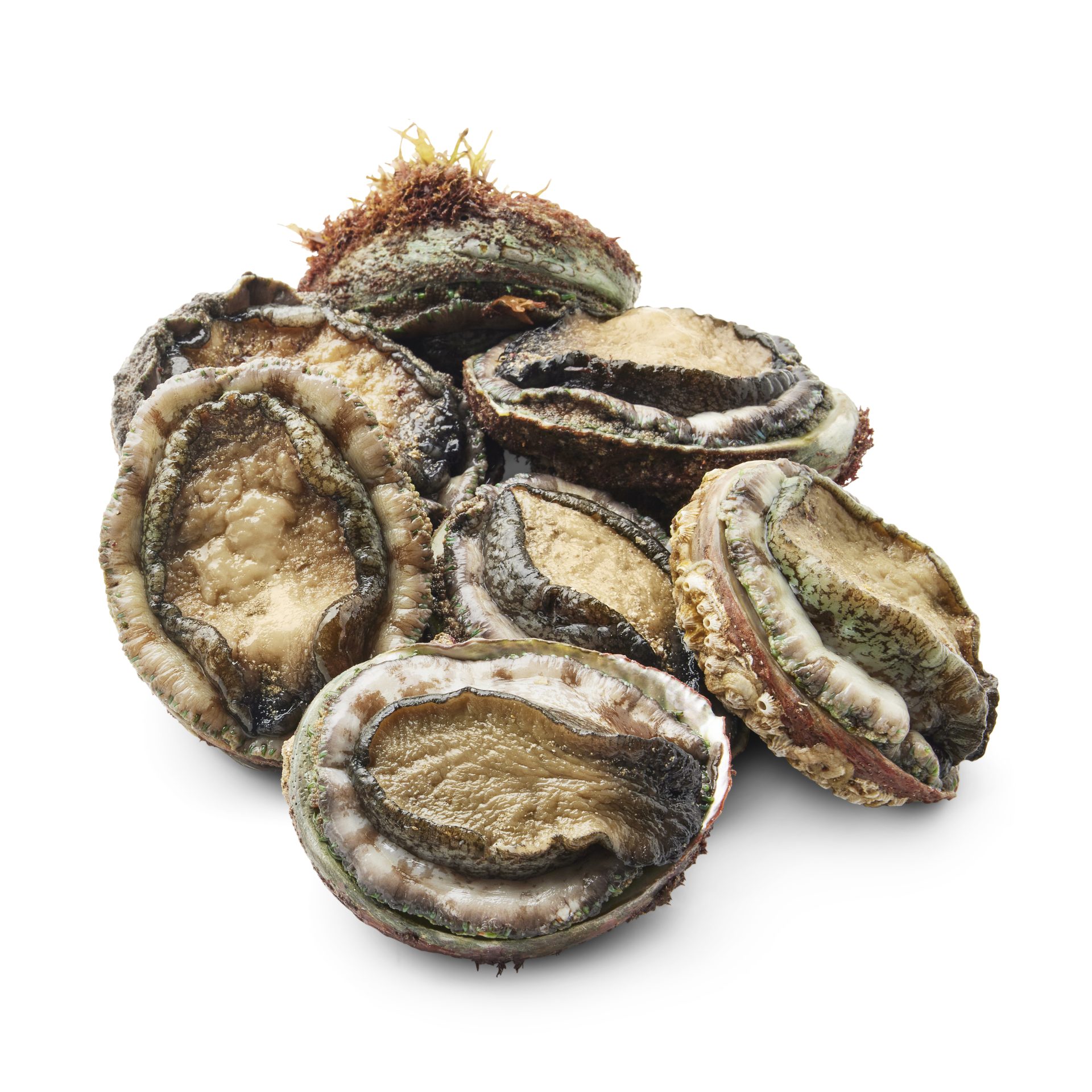 Roei Abalone & Stock Preparation - Rare Foods Australia